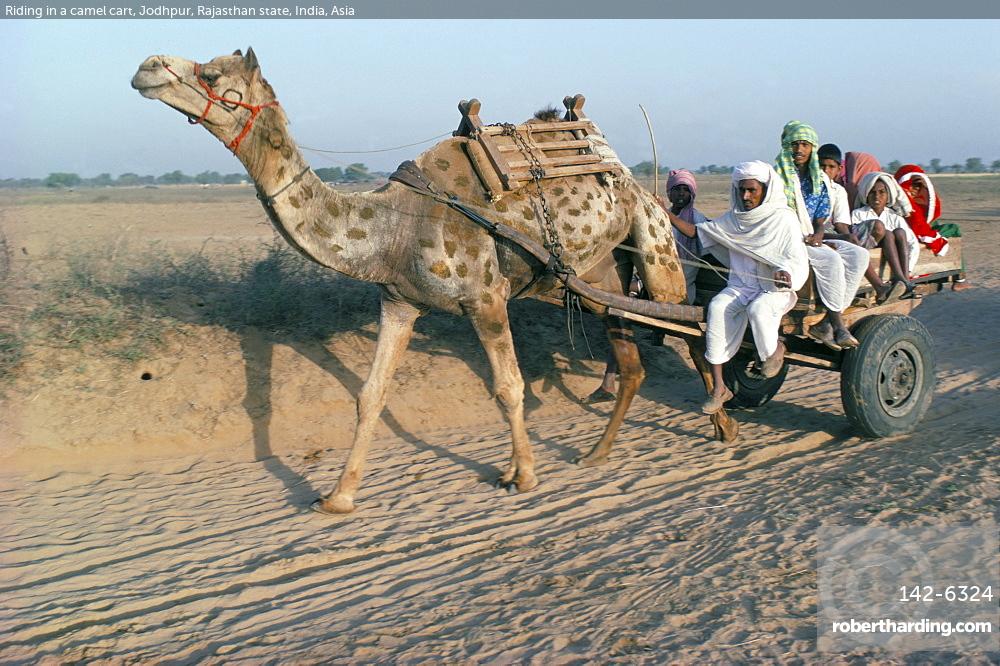 Use Camel Cart